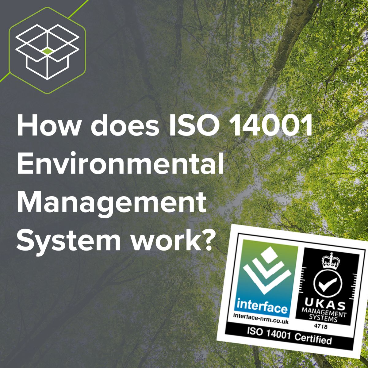 Home - Sandland Packaging